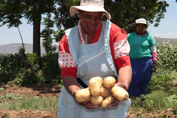 OneFarm Share: Celebrating One Year Of Collaboration And Impact ...