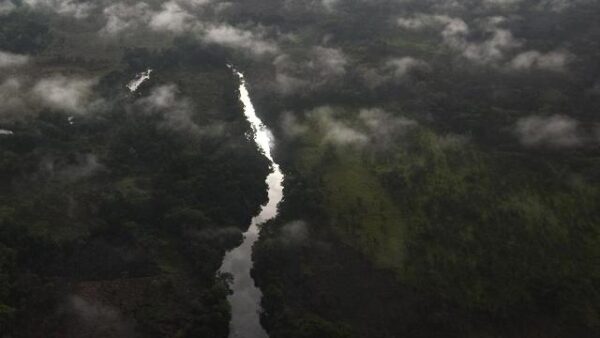 How Gabon Manages its Side of the Congo Basin | africa.com