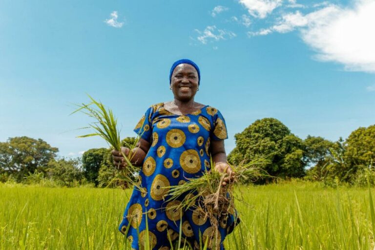 Nestlé partners with Africa Food Prize to strengthen food security and ...