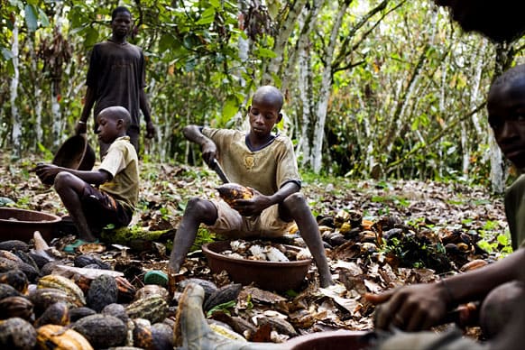Reframing the Debate about Child Labour on Africa’s Farms – Africa.com