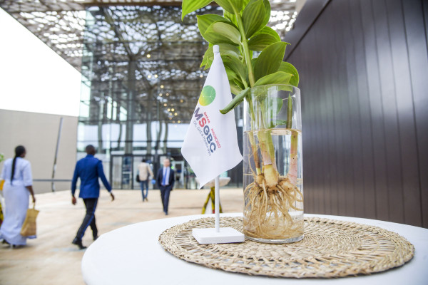 Managing Director of Gambia National Petroleum Corporation (GNPC) to ...