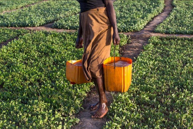 A Crucial Step toward Addressing Key Challenges Facing Togo’s Economy ...