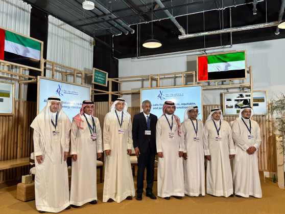 Arab Coordination Group allocation of US$10 billion to support energy transition | africa.com