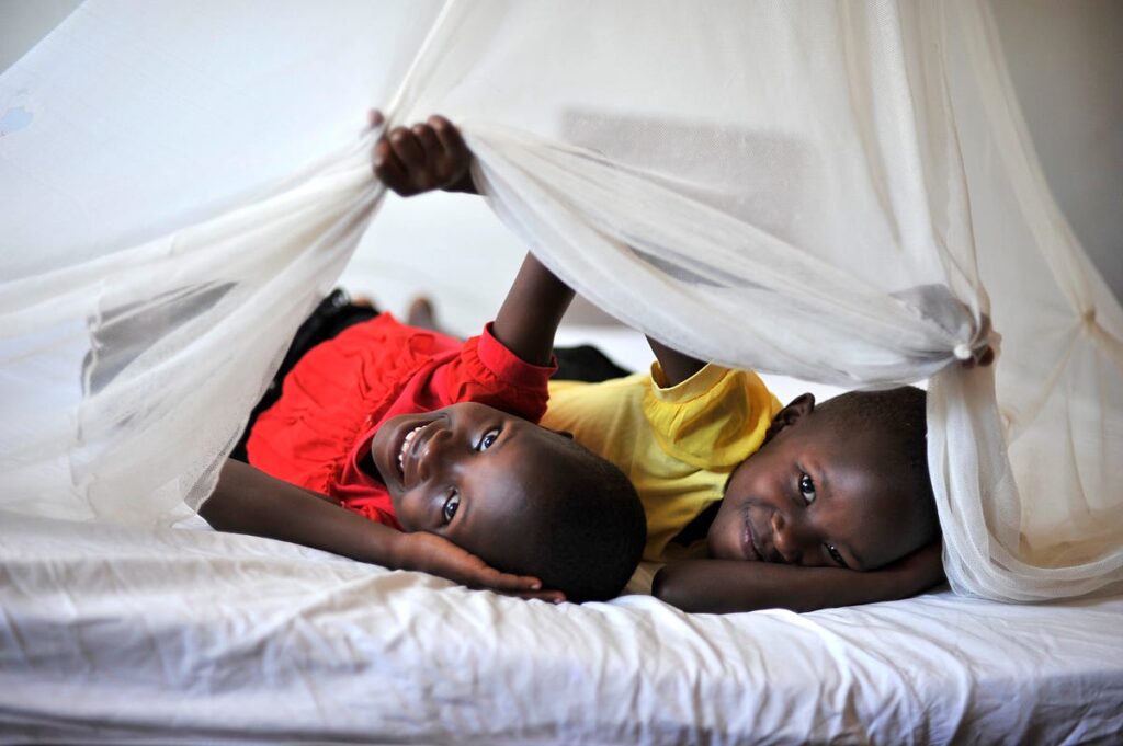 The World Malaria Report