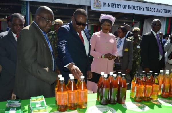Malawi's Wine Makers Innovate in the Face of Extreme Weather - Africa.com