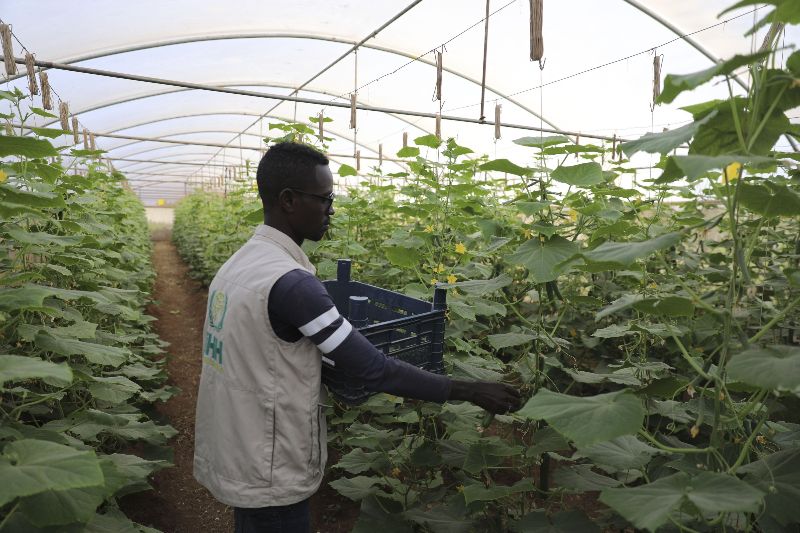 A New Crop of Young and Ambitious Farmers and Agricultural ...