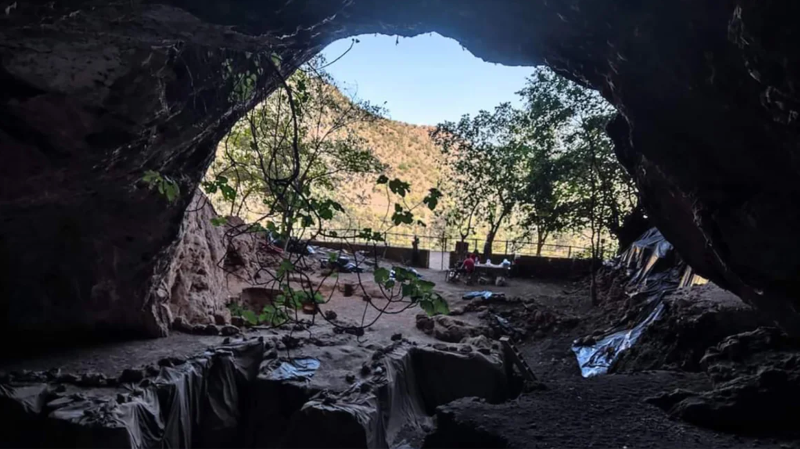 Paleo Diet? Study Reveals New Insight on What Stone Age Humans Really ...