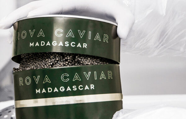 Madagascar’s First Caviar Producer Transforms Luxury Food Industry ...
